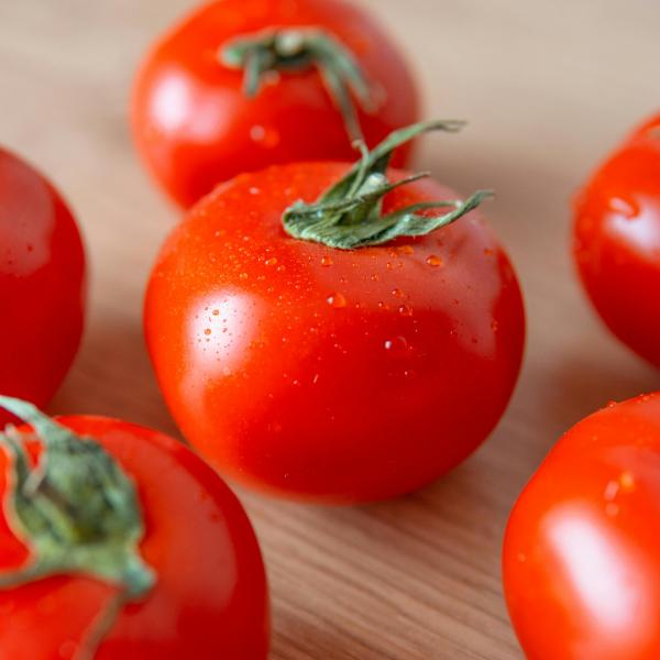 Fudlink: Fresh Namibian Produce Marketplace